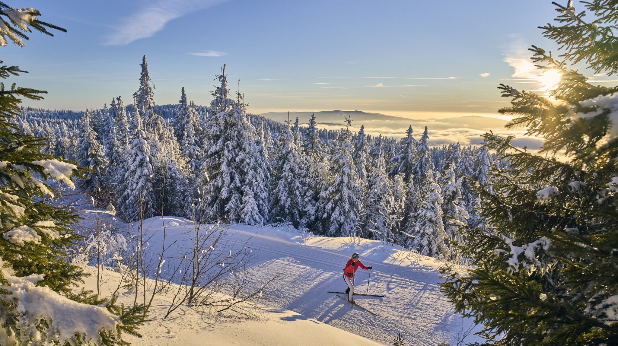 Bodenmais host European Ski Marathon Championships 24-25.1.2026 ...